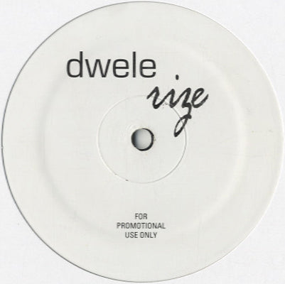 Dwele - Rize [LP] – Morpho Records